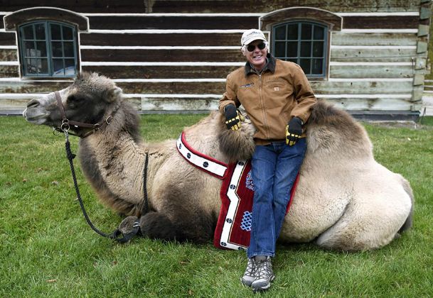 Carlos the camel in Montana has a Mississippi connection - The Dispatch
