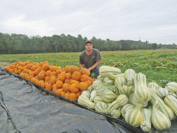 New pumpkin patch prepares to open in Caledonia - The Dispatch