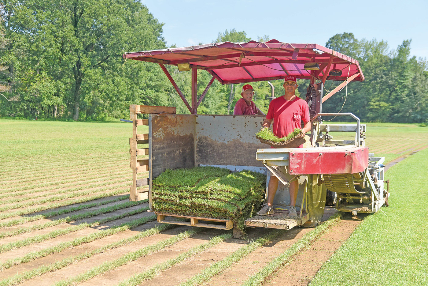 Swedenburg’s business is a ‘sod’ story - The Dispatch