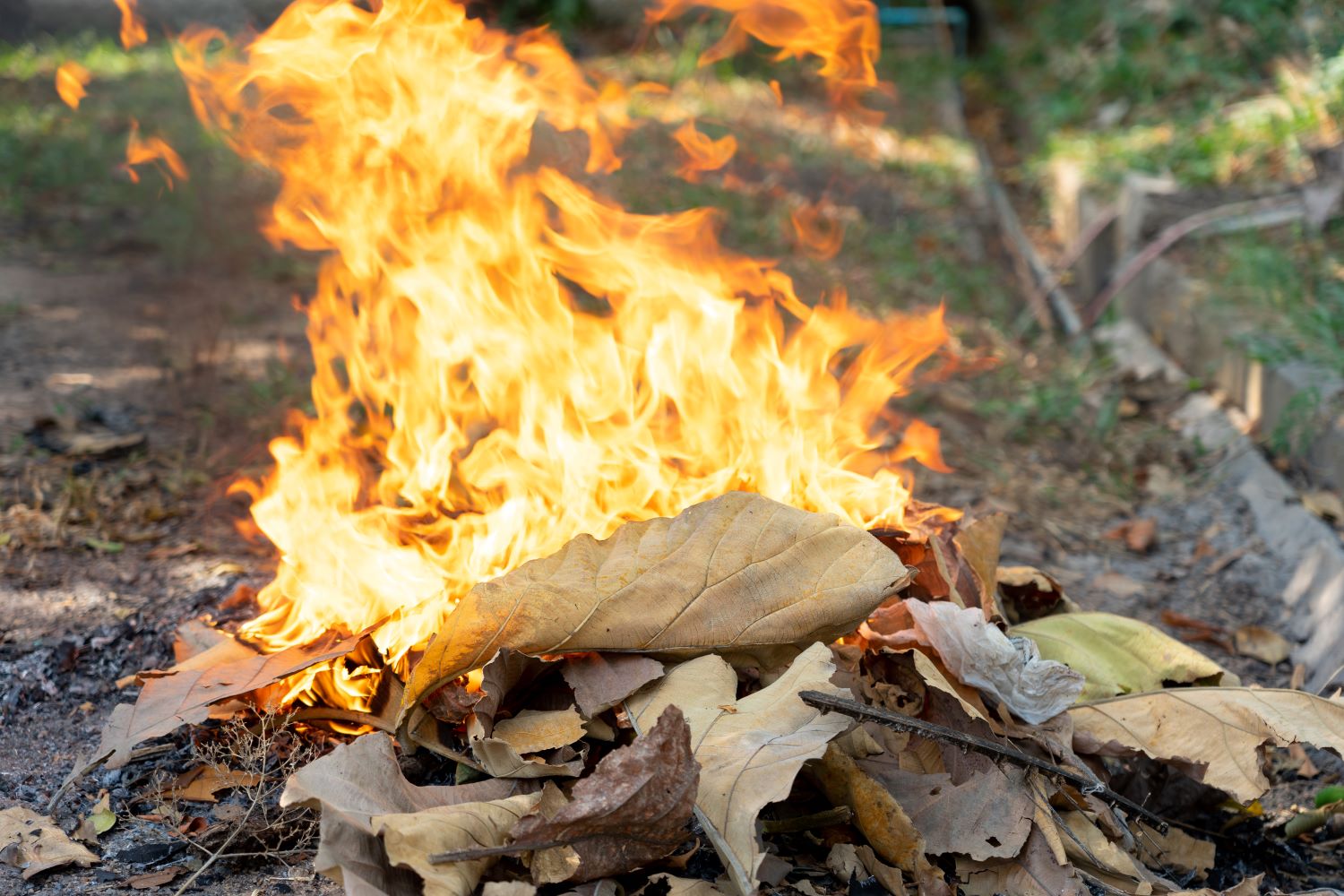 Ask The Dispatch: What can I burn and when can I burn it? - The Dispatch