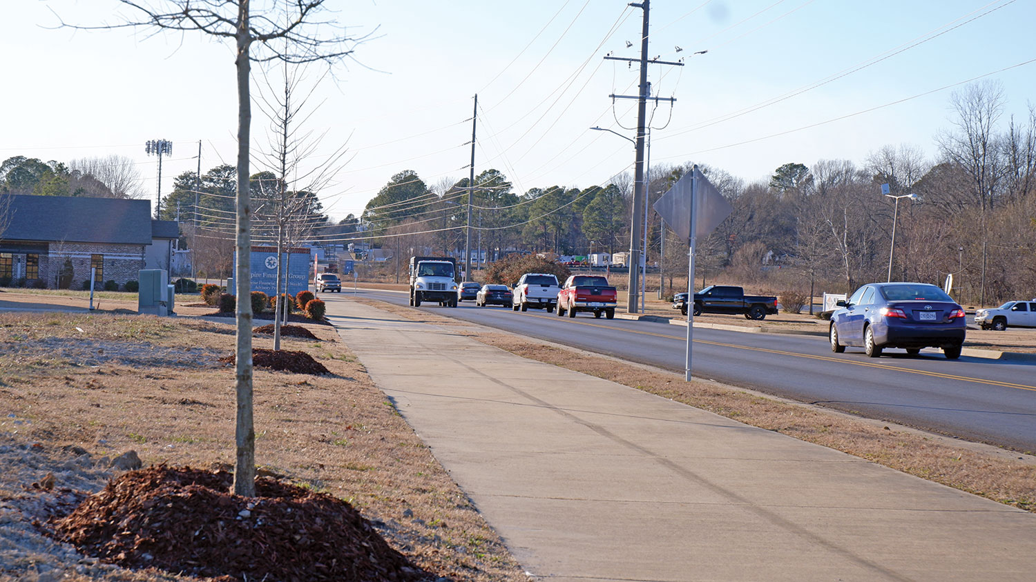 63 trees being planted along Lynn Lane - The Dispatch