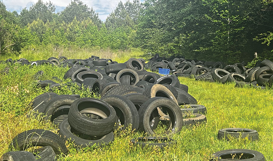 Large tire dump sites suggest business is responsible - The Dispatch