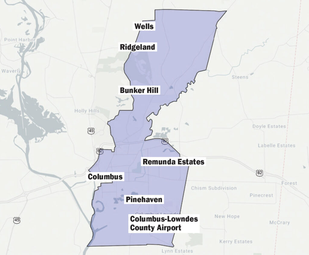 Voters to decide District 41 House race Tuesday - The Dispatch