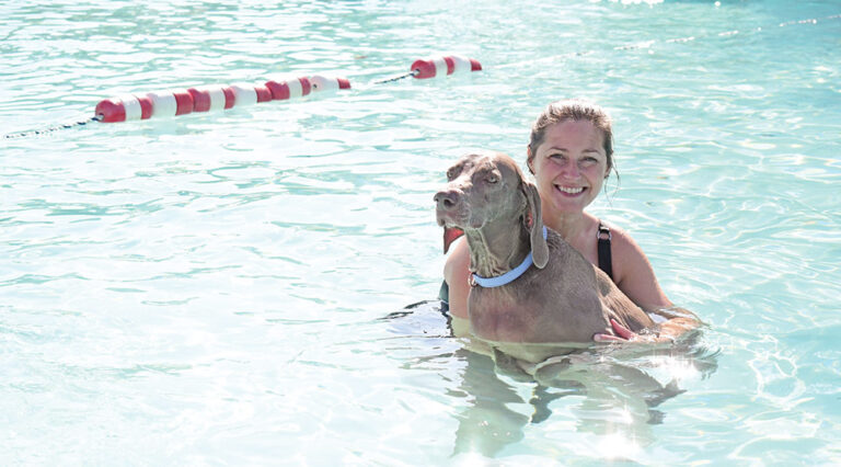 Humane Society hopes to make a splash with 15th annual Dog Paddle - The ...